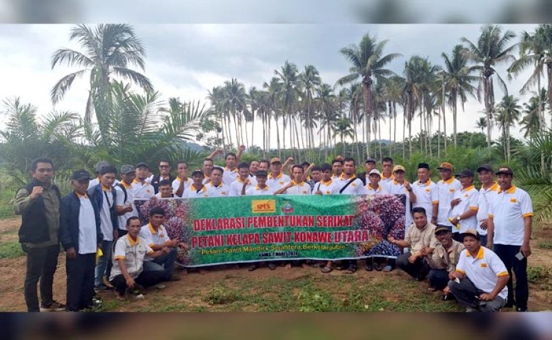 agricom.id - SPKS Bersama Petani Sawit Swadaya Melakukan Pelatihan Budidaya Sawit Berkelanjutan ...