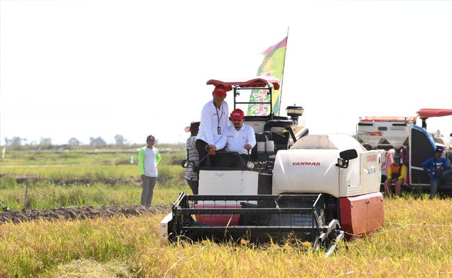 agricom.id - Teknologi Sulap Lahan Rawa di Kalsel Jadi Sumber Pangan